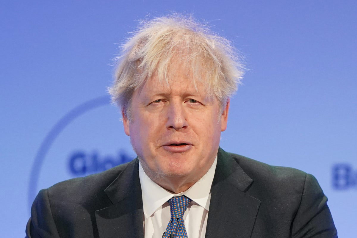 Boris Johnson ‘fired’ during live US election coverage for plugging memoir Boris Johnson ‘fired’ during live US election coverage for plugging memoir