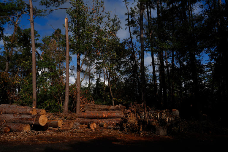 Campbell Vaughn: 2024 was a crazy year for weather in Augusta, and it ...