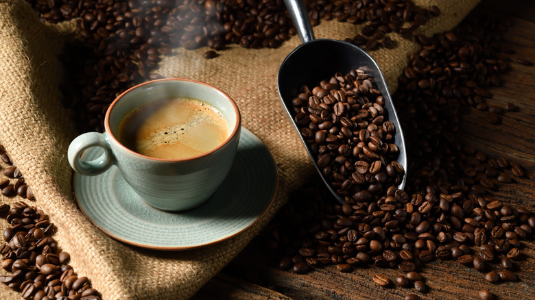 Robusta Vs Arabica Coffee: What's The Difference?