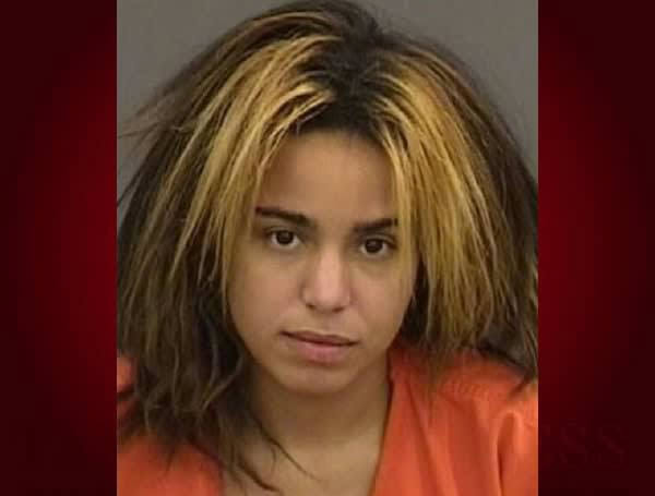Wanted: Hillsborough County Detectives Seek Burglary Suspect Wanted: Hillsborough County Detectives Seek Burglary Suspect