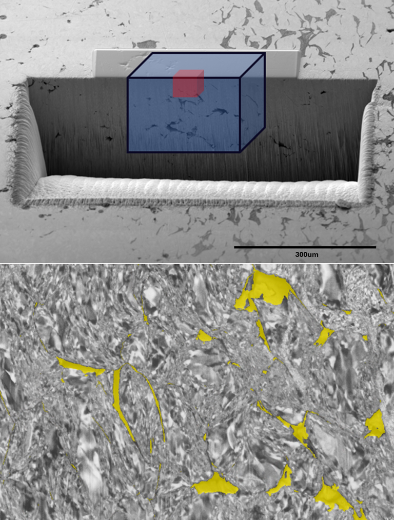 Revealing The Strength Of Functionally Gradient Alloys Through