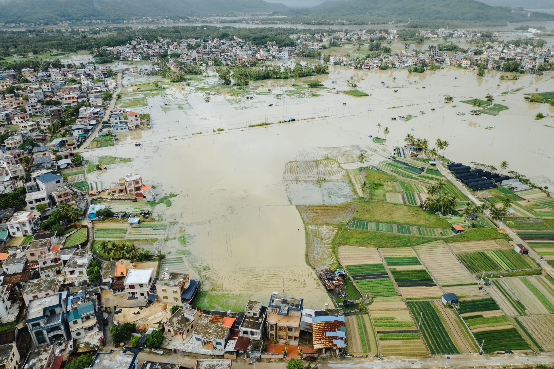 Here are some of the most famous firsts in history