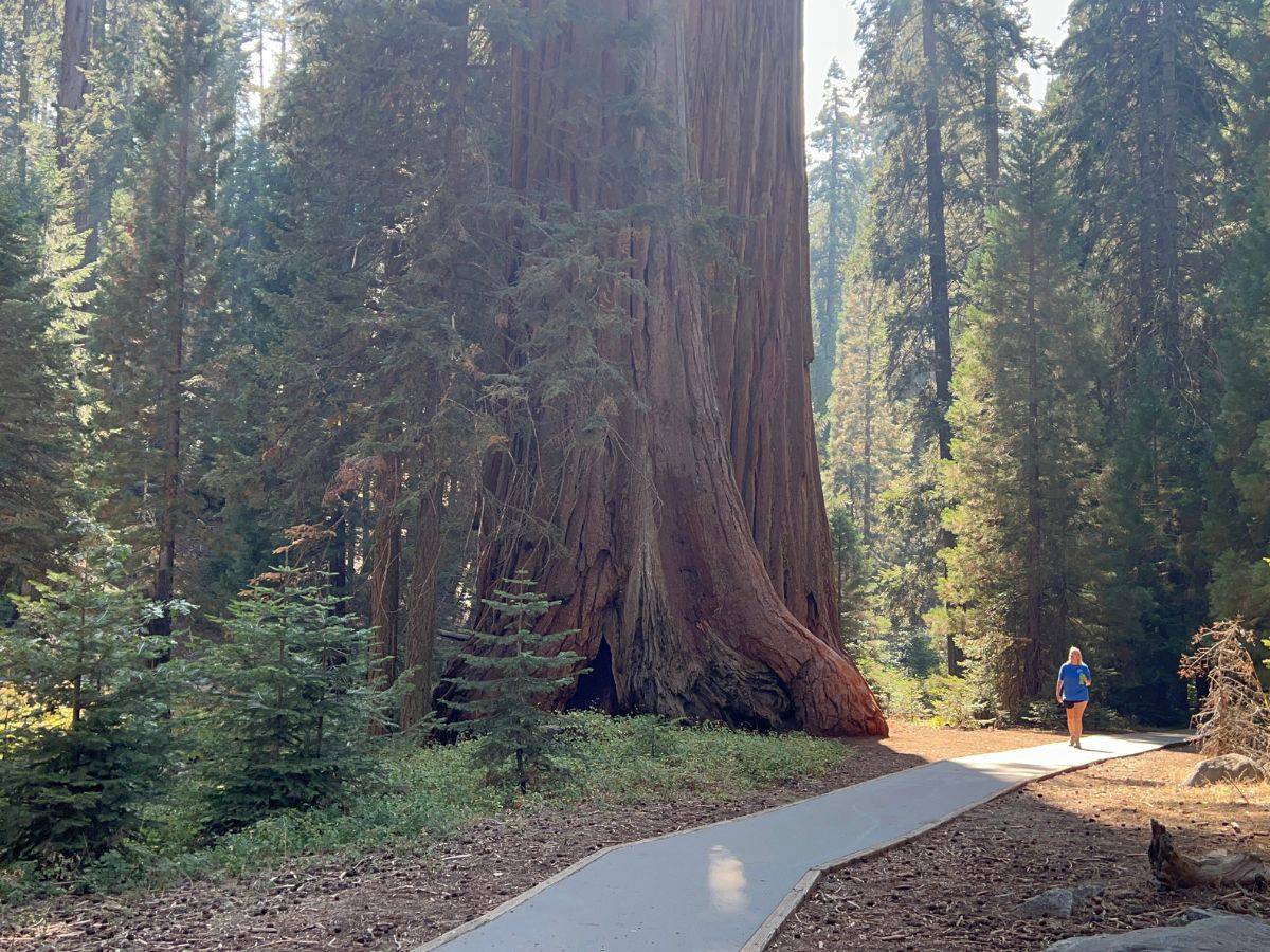 14 Things You Can’t Miss on Your First Visit to Sequoia National Park