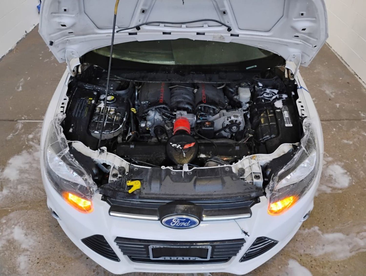 Meet 'Corvoucus': An LS-Powered Ford Focus on a C5 Corvette Chassis