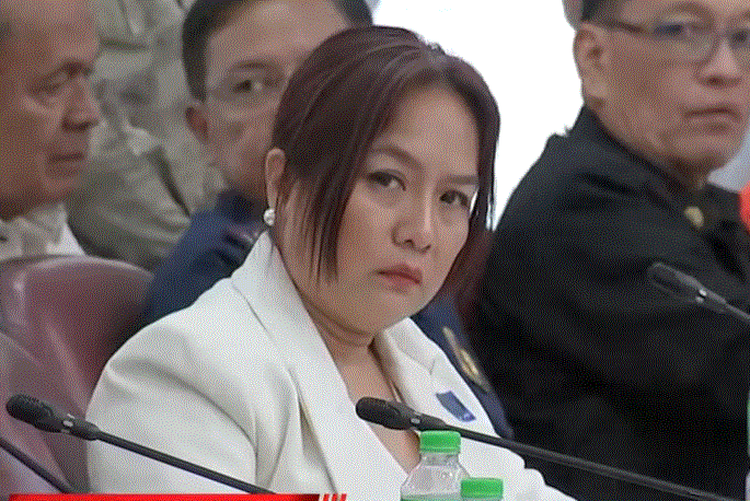 Garma Lawyer Says She Applied For Asylum In Us