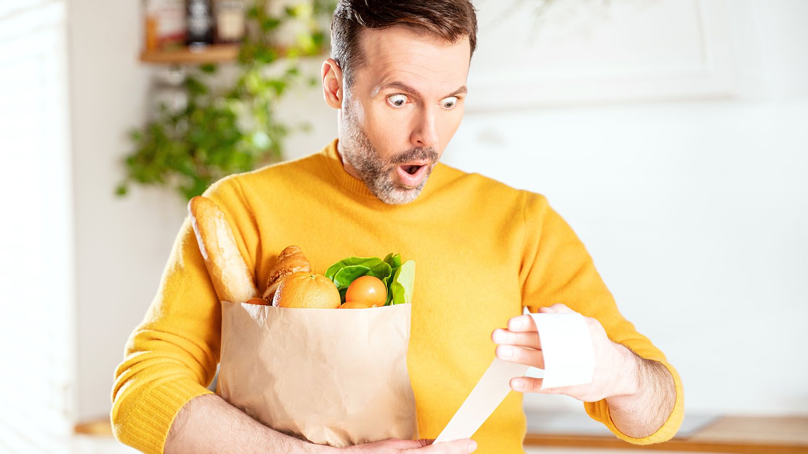 Living alone costs Canadians $22 more a week at the grocery store ...