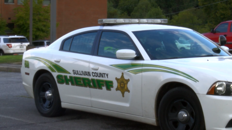 SCSO: Va. man charged with aggravated burglary after posing as handyman