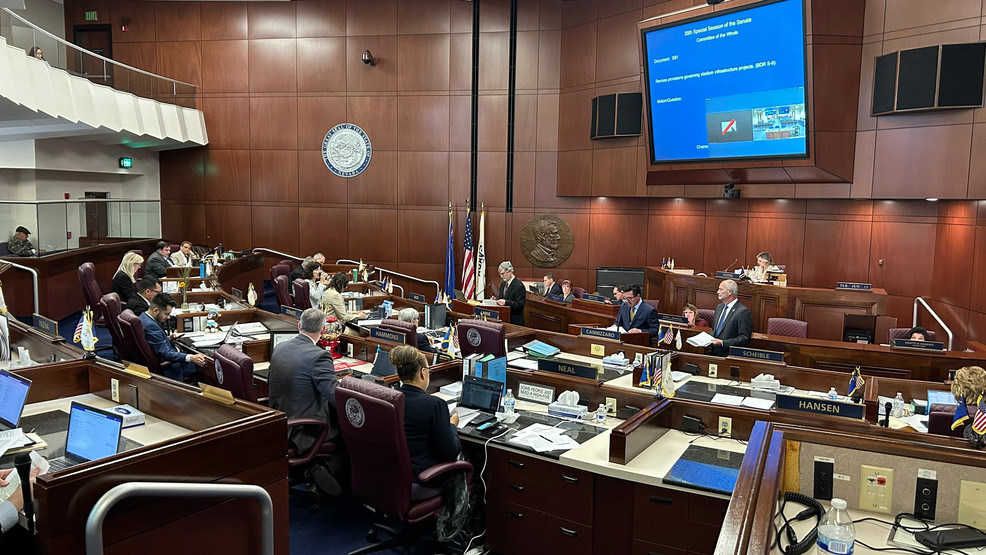 Cannizzaro, Yeager keep leadership posts as Nevada Dems retain ... Cannizzaro, Yeager keep leadership posts as Nevada Dems retain ...