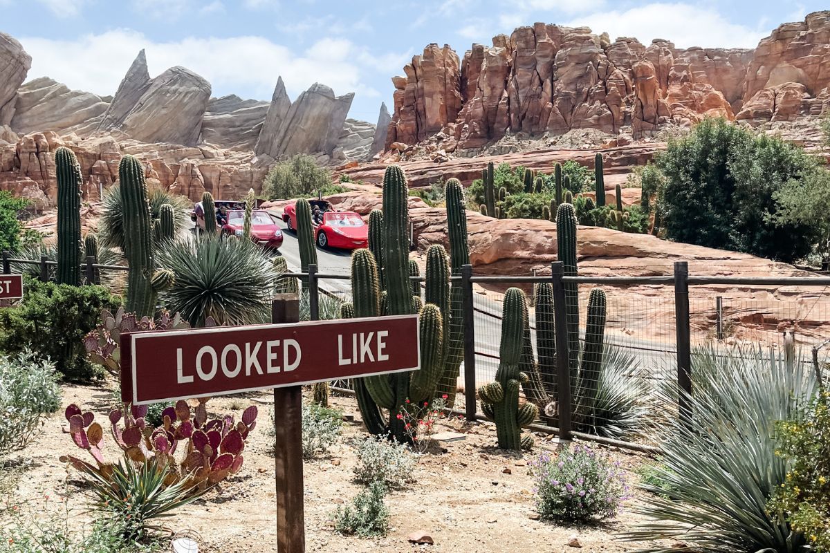 9 Disneyland Rides With Single Rider Lines