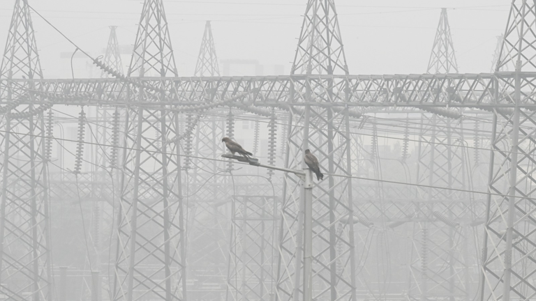 Delhi air pollution: Govt directs strict implementation of GRAP II ... Delhi air pollution: Govt directs strict implementation of GRAP II ...