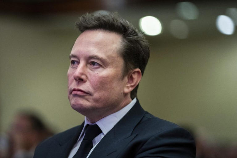 Donald Trump Jr., Elon Musk joke about purchasing MSNBC Donald Trump Jr., Elon Musk joke about purchasing MSNBC