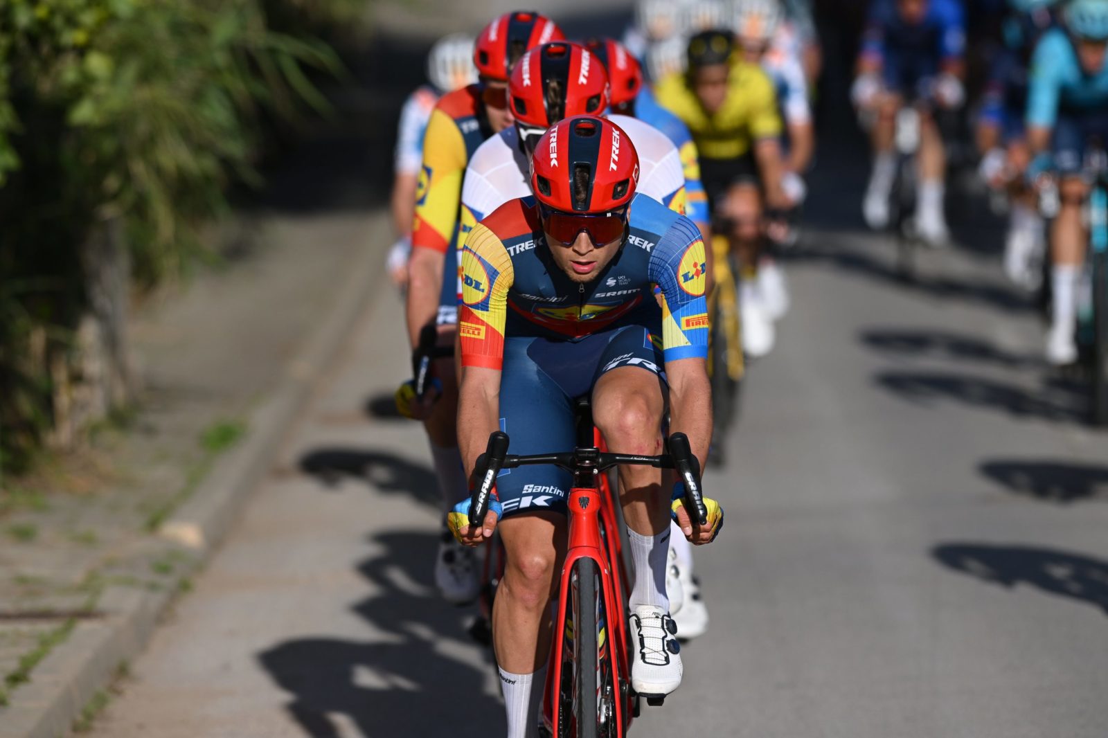 Tour Down Under 2026, anche Andrea Bagioli, Matteo Sobrero e Jacopo ...