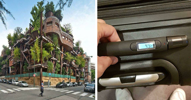 50 Clever Designs That Are At the Top of Their Class