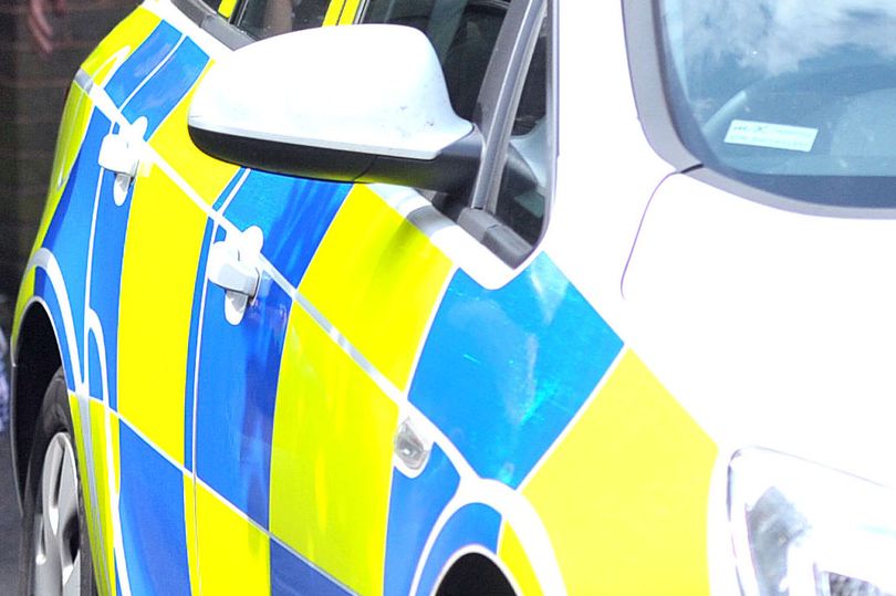 Police officer sacked over 'no lines of enquiry' lie