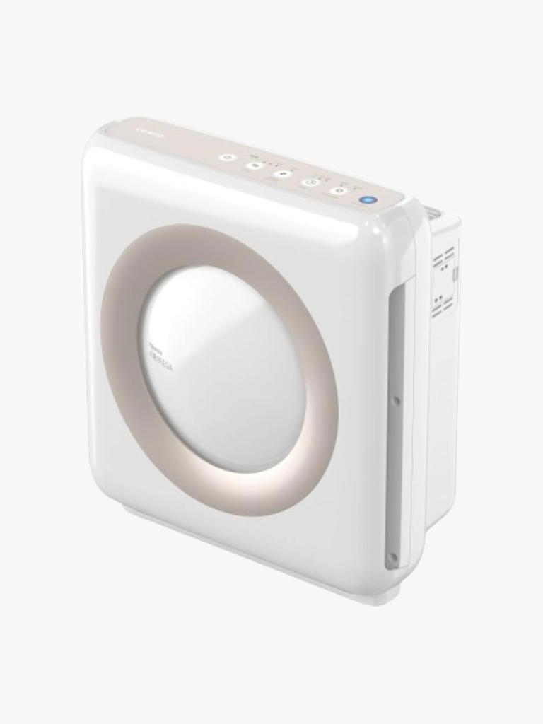 The Best Air Purifiers Are a Stylish Safeguard for Spring and Summer ...