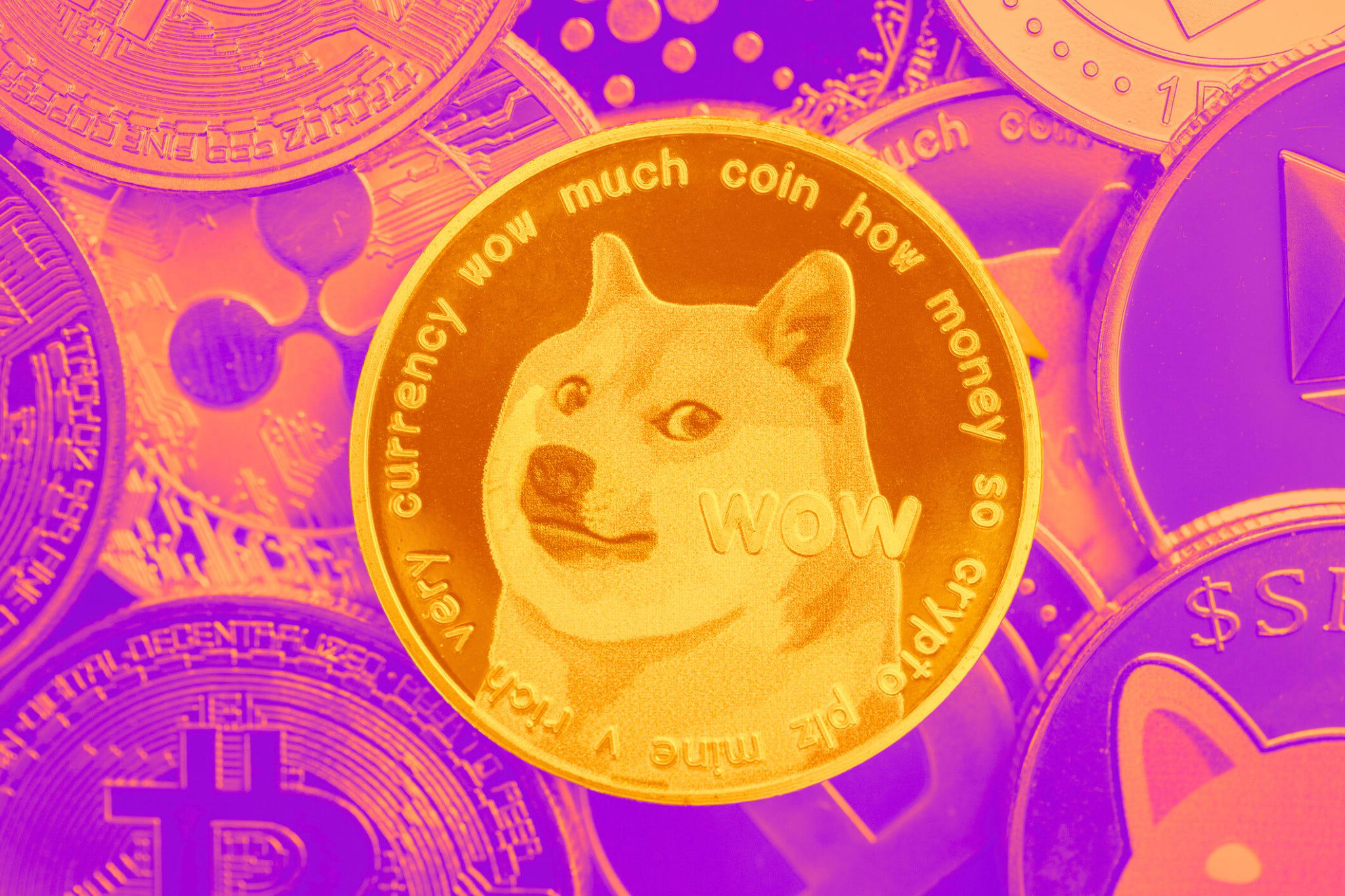 Dogecoin Surges Following Elon Musk News. What's Going on With This ... Dogecoin Surges Following Elon Musk News. What's Going on With This ...