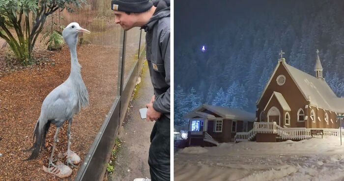 49 times people had to look twice to truly understand the things that ...