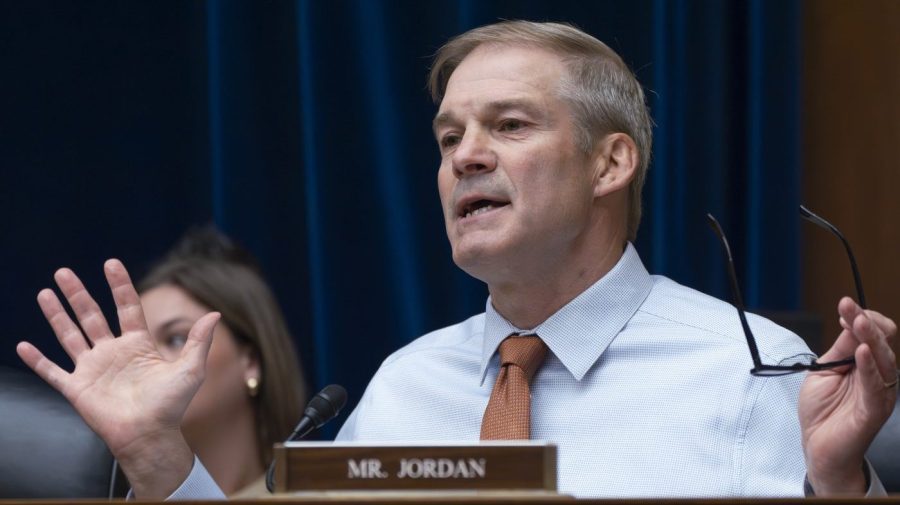 Jordan defends DOGE, Musk influence under Trump