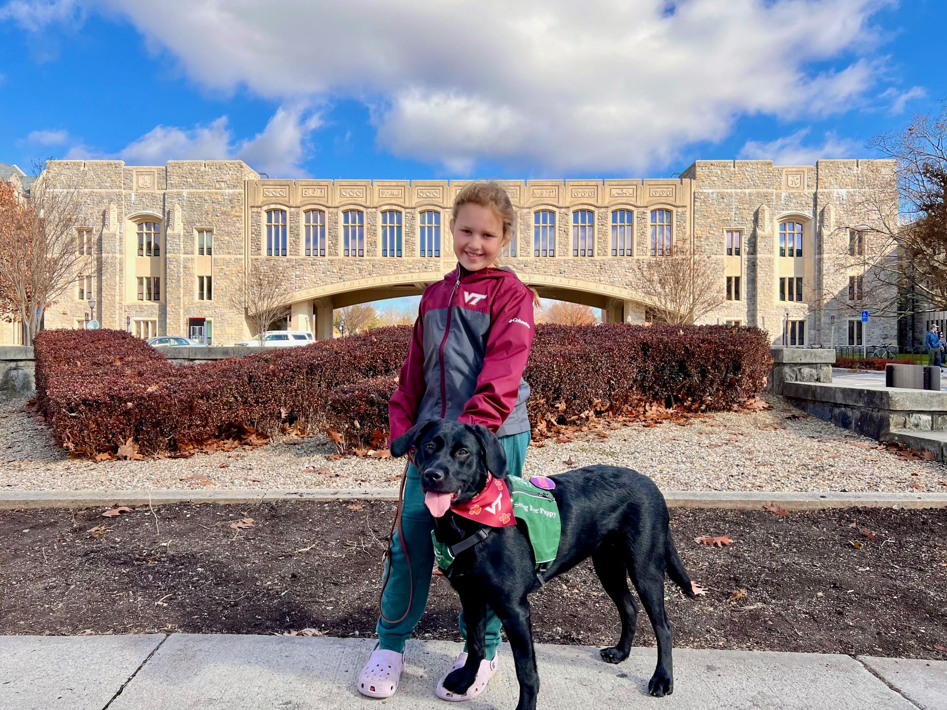 Good manners and a robust social calendar: The world of raising puppy ...