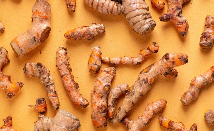 Como plantar cúrcuma: dicas e passo a passo