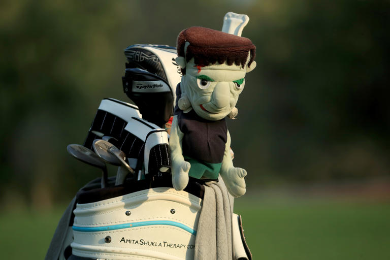A Six-Year Old Driver, Iron Headcovers And Two Gloves: Aaron Rai's ...