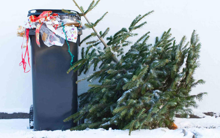 Don’t Take Down Your Christmas Tree Until January 6—Here’s Why