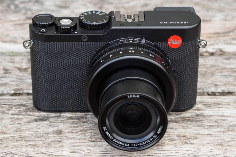 Best compact camera in 2025 – the perfect point-and-shoots for photos ...