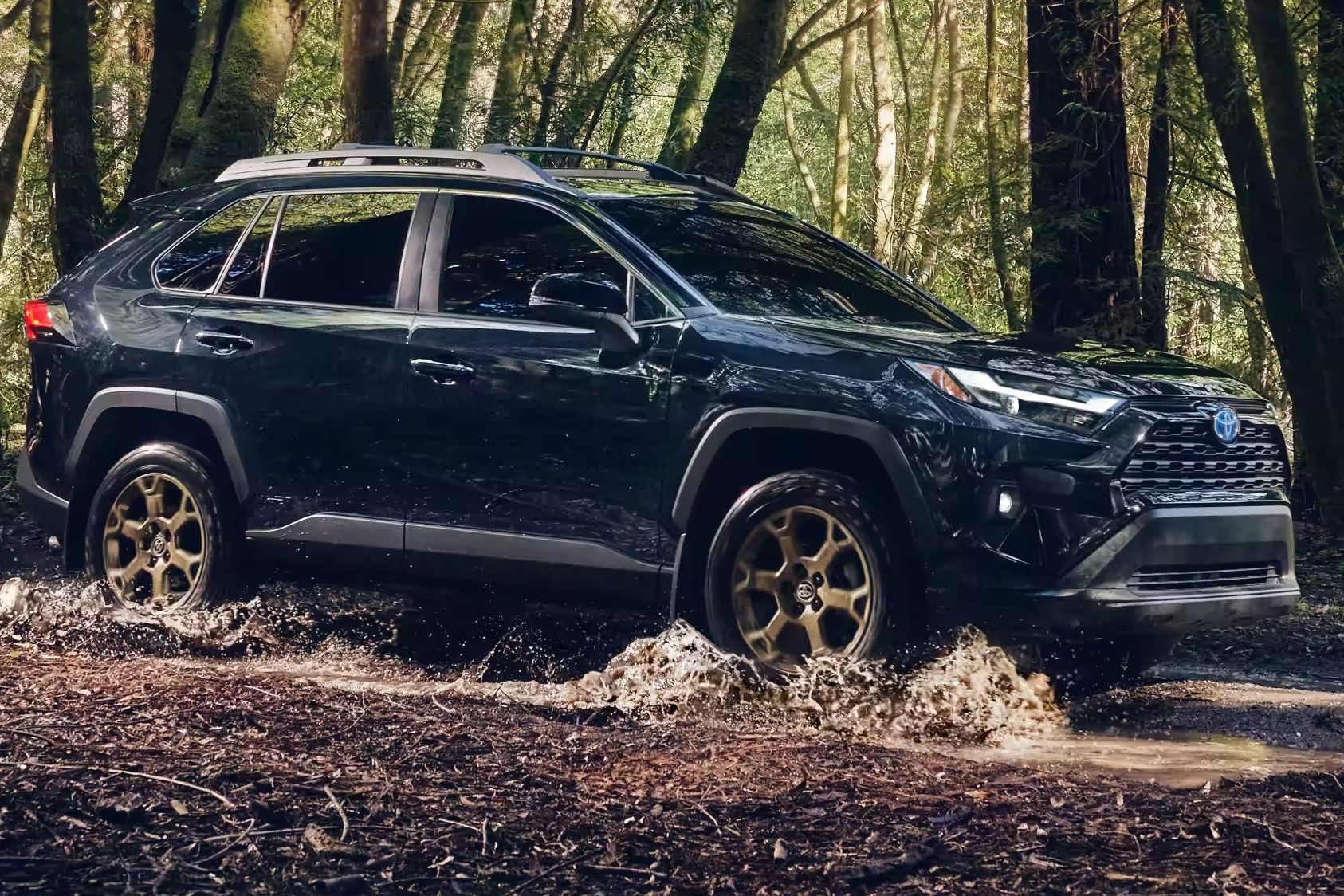 RAV4 vs. 4Runner: Comparing Toyota's Best SUVs