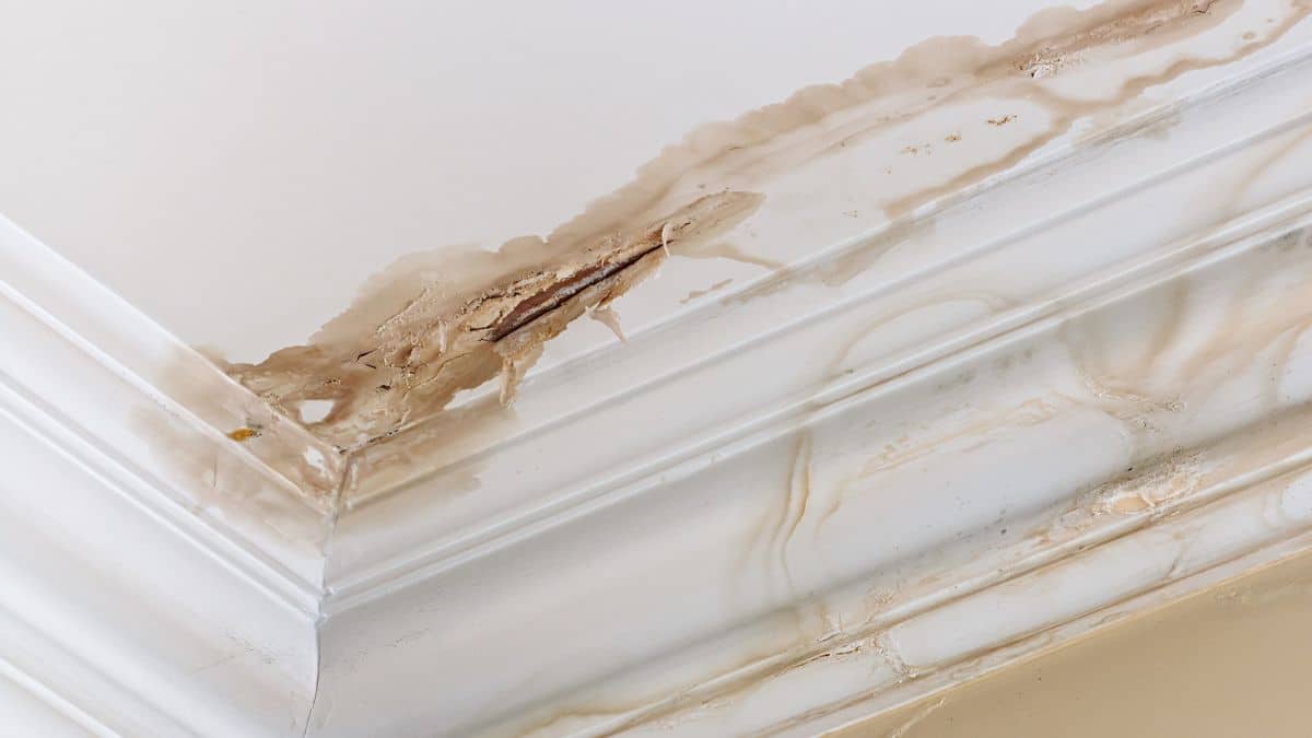 10 costly attic mistakes draining your wallet