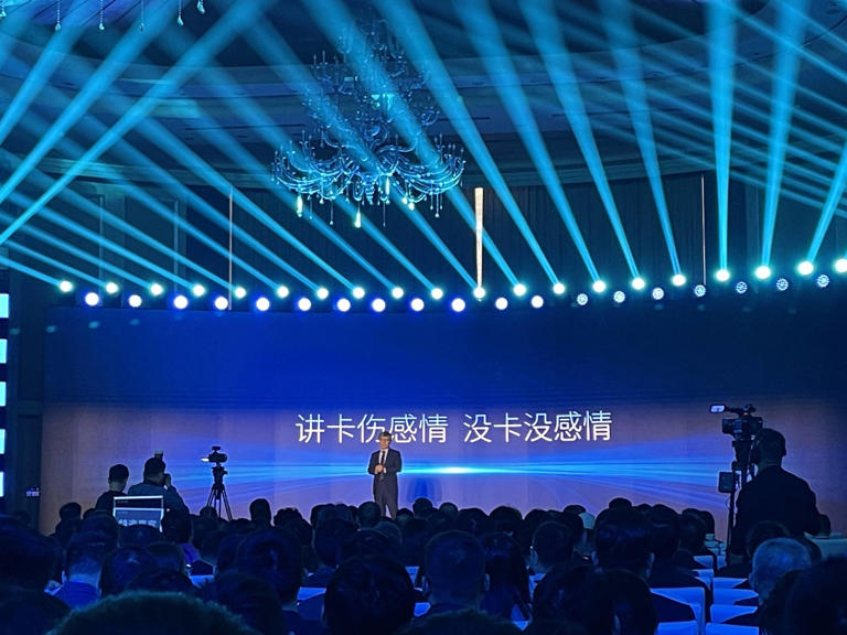 沈向洋IDEA大会发布DINO-X：通用视觉大模型，万物皆可识