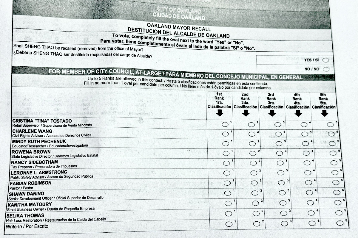 7 at-large City Council candidates demand an investigation into voting ...