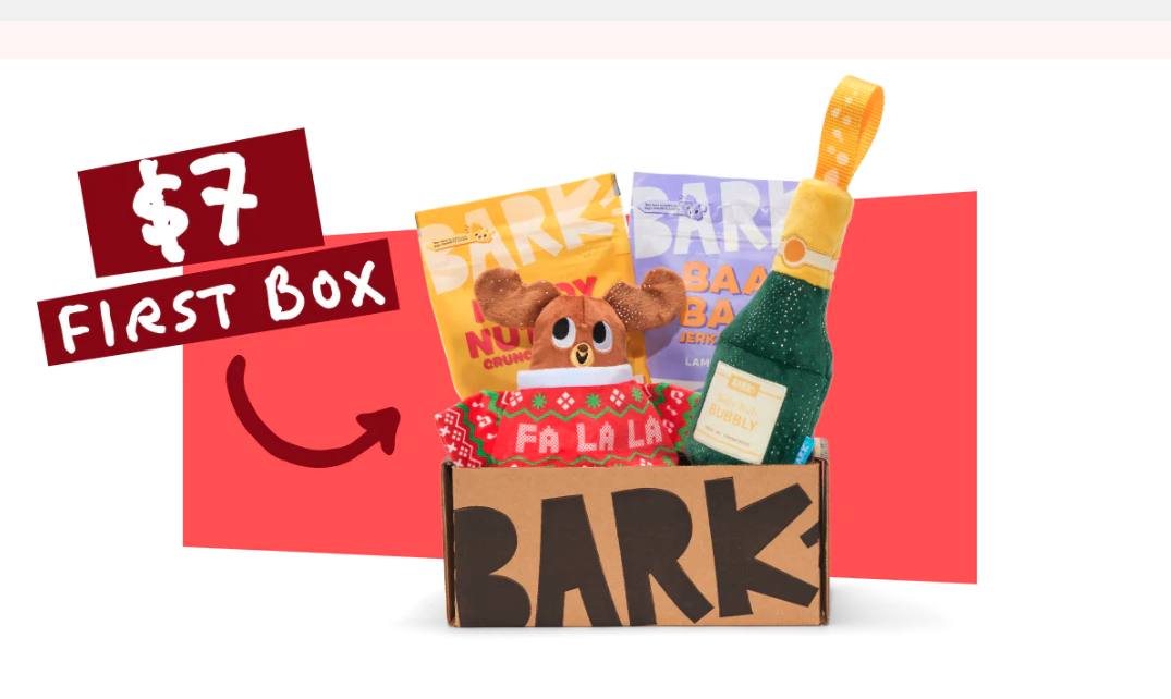 BarkBox Black Friday Deal for 2024