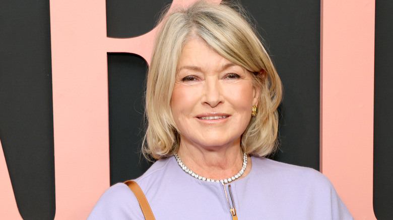 Martha Stewart Looks So Different In Throwback Pics From Her Modeling Days Martha Stewart Looks So Different In Throwback Pics From Her Modeling Days