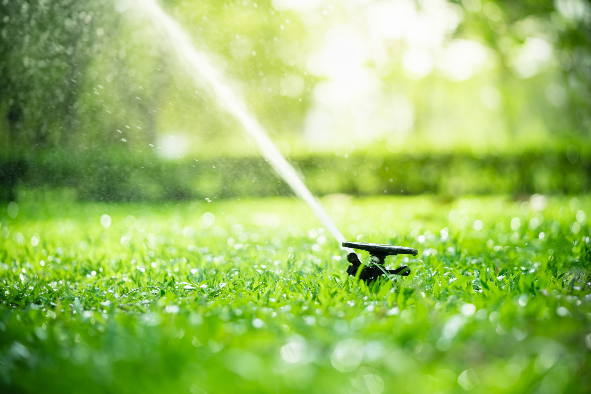 Handy tips to reduce water usage