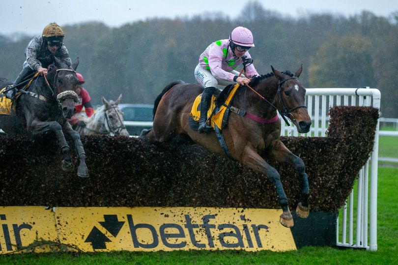 Dual winner Royale Pagaille heads 15 entries for Saturday's Peter Marsh ...