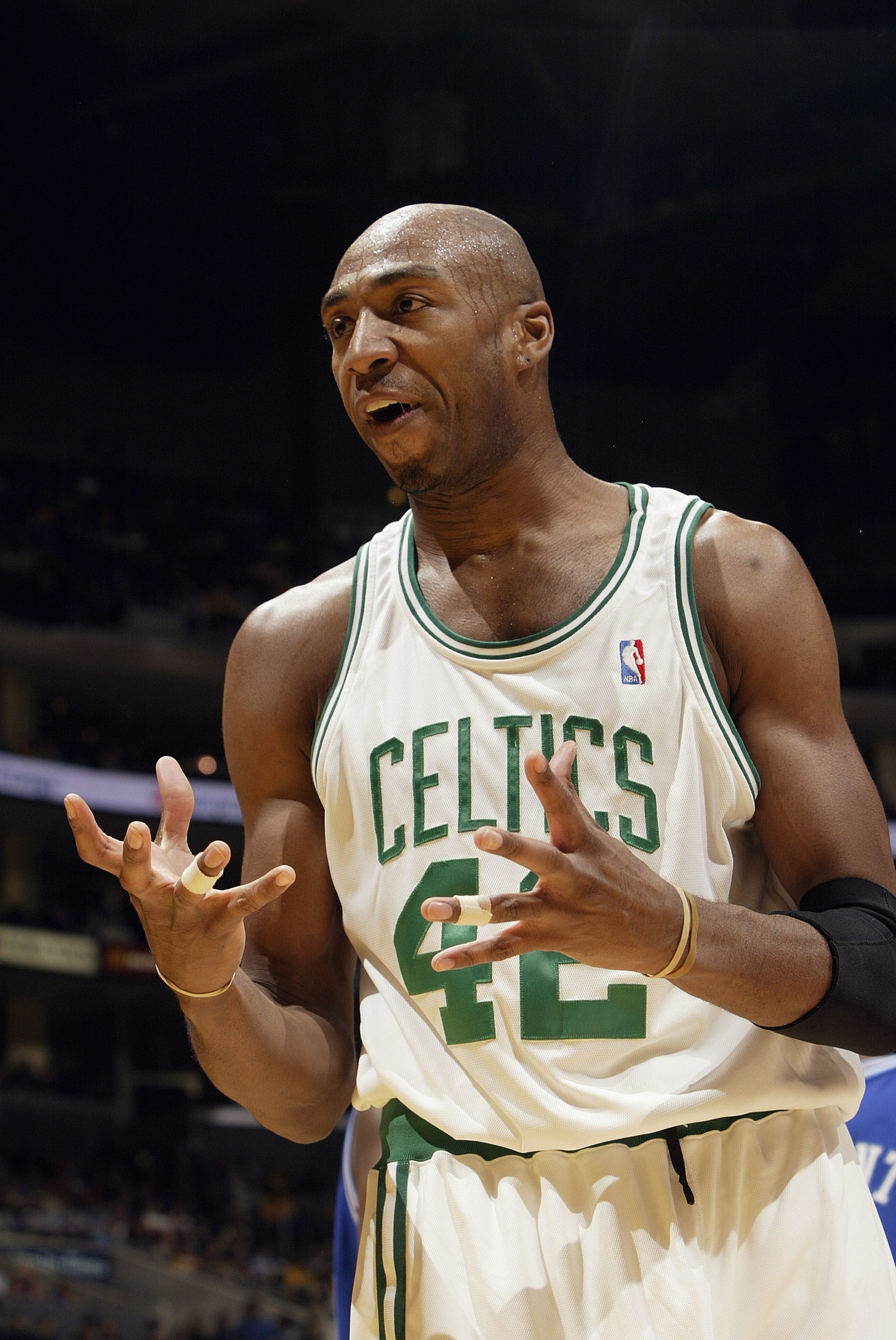 Boston Celtics jersey history No. 42 - Vin Baker - (2002-04)
