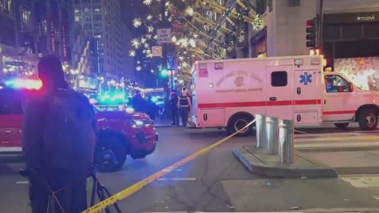 Officials Speak After Violence Disrupts Holiday Cheer In Downtown Chicago