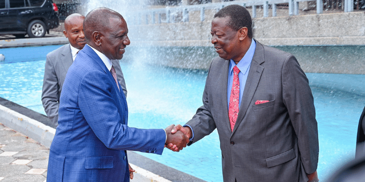 Ruto Appoints Musalia Mudavadi to New Job