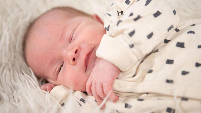 These Soft And Chewy Gingerbread Cookies Have The Perfect Blend Of ...