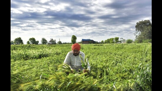 Courts can’t fix agriculture, problems are far too complex