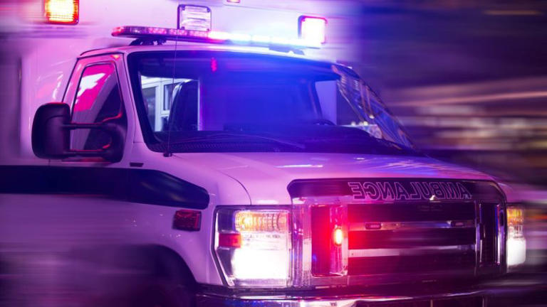 Rider trampled after being thrown from bull at Bronx rodeo: NYPD