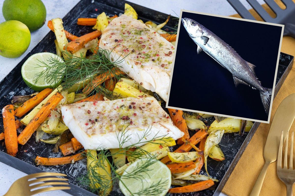 Butterfish dilemma: Delicacy with a side of health risks Butterfish dilemma: Delicacy with a side of health risks
