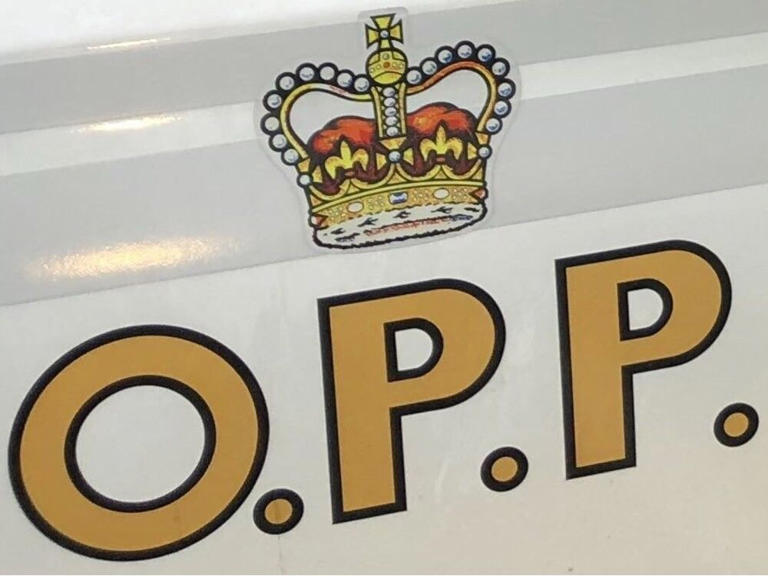 OPP 'automated licence plate reader' alert leads to Essex motorist's ...
