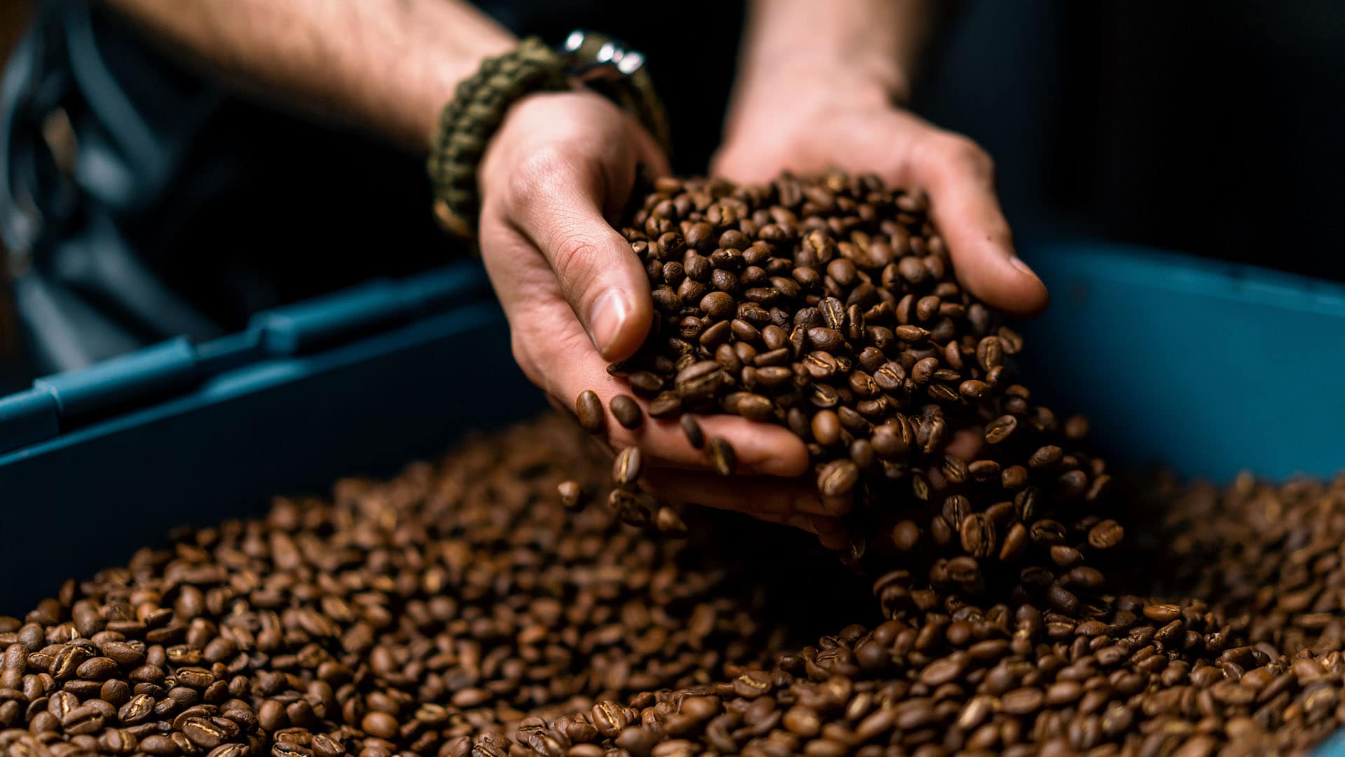 Most people store coffee incorrectly — here's where it actually belongs
