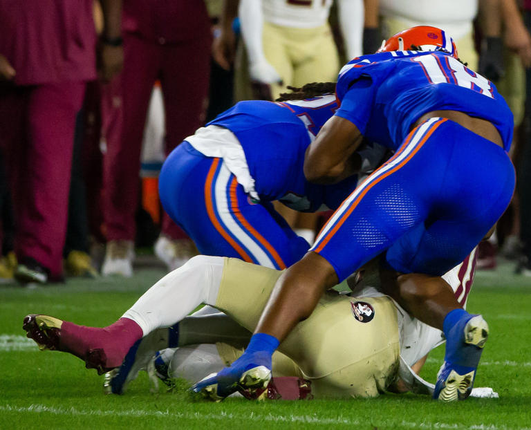 Florida football tickets vs Florida State: Best prices for remaining ...