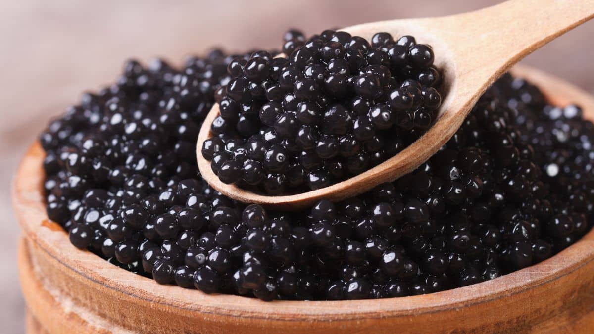 15 Rare Dishes Only the Ultra Rich Ever Taste