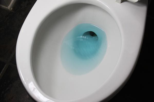 Why Is My Poop Orange? 4 Possible Causes