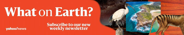 CoolCabana co-founder on 'unfortunate' issue 10 years after launch ...