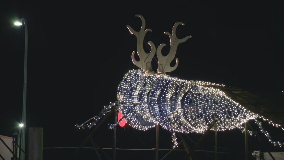Big Blue Bug to shine in annual lighting ceremony