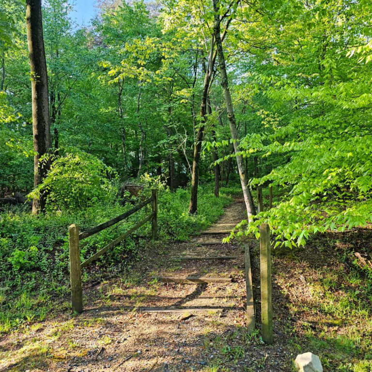Explore Greenbelt Park in Maryland!